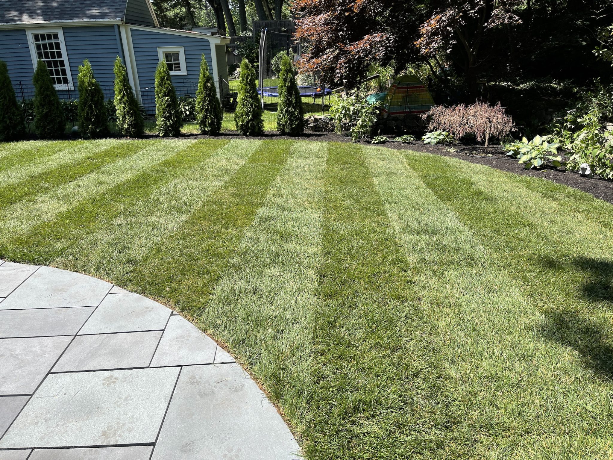 The Art of Curved Walkways: Enhancing Flow and Beauty in Your Yard